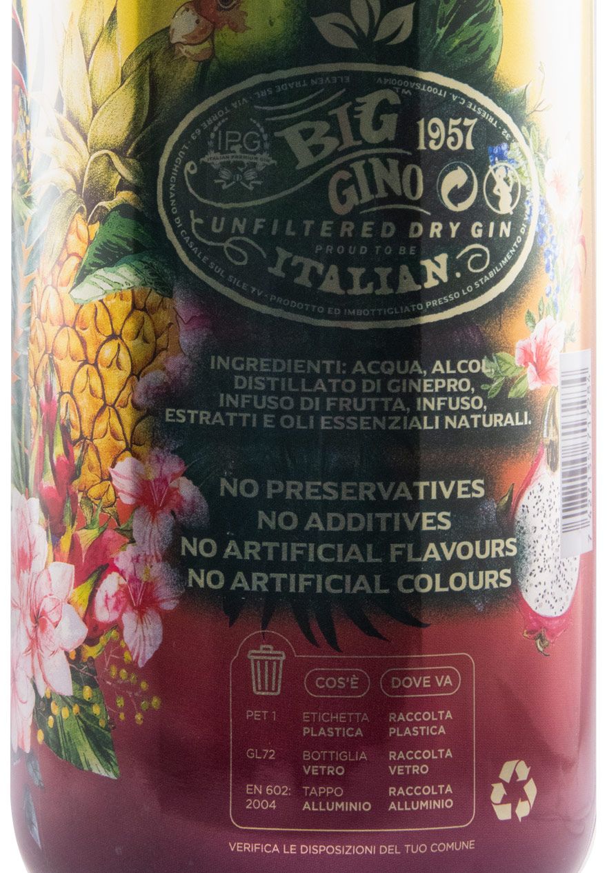 Gin Big Gino Exotic Dream 1L