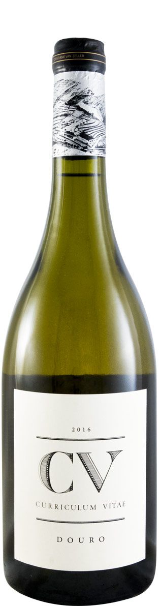 2016 Curriculum Vitae branco