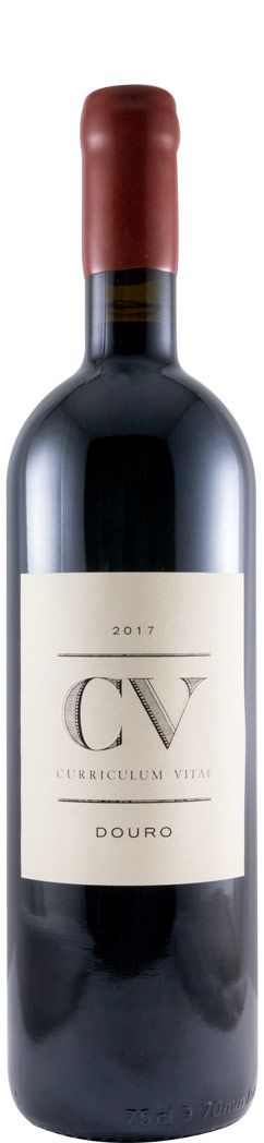 2017 Curriculum Vitae tinto