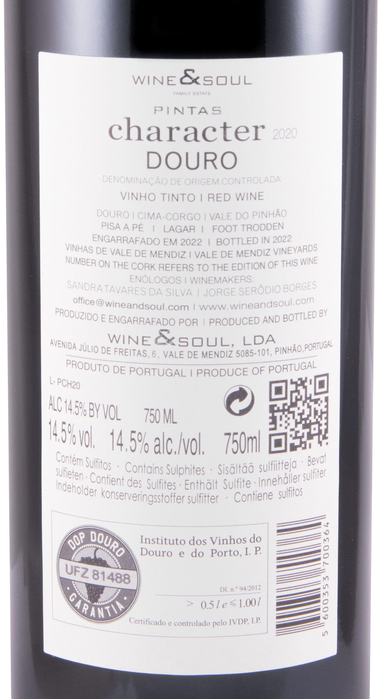 2020 Pintas Character tinto