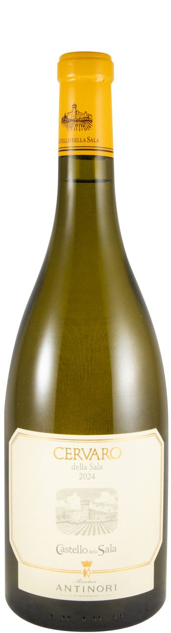 2024 Castello della Sala Cervaro della Sala branco